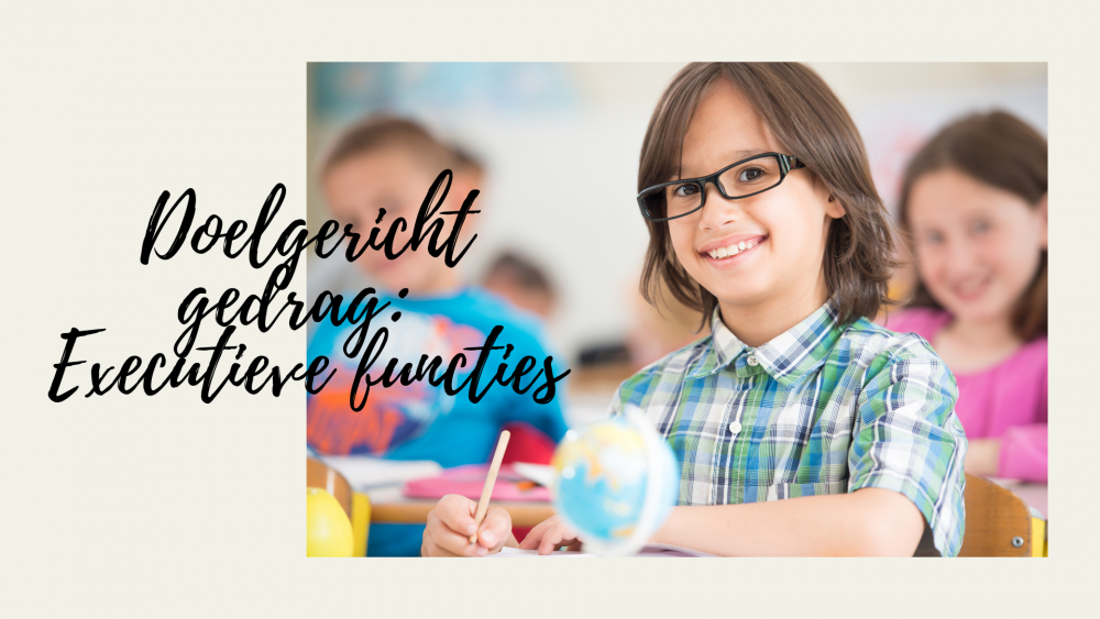 Doelgericht gedrag: Executieve functies - Juf Maike