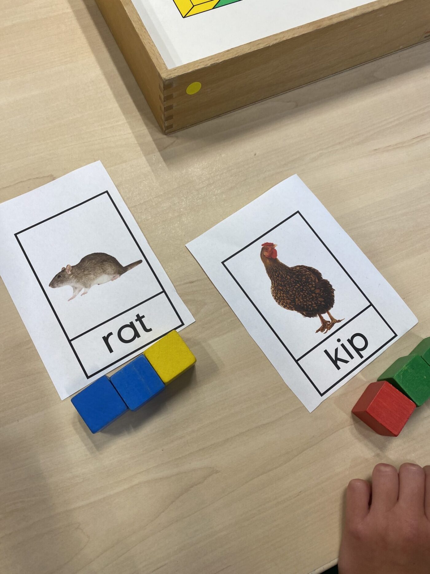 EDI les kleuters taal en rekenen - Juf Maike