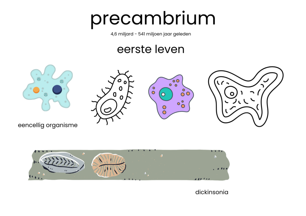 Prehistorische Tijdlijn en tijdlijn dino's - Juf Maike