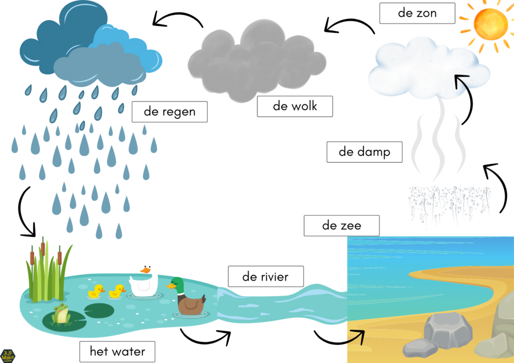Werkblad Waterkringloop 4e Leerjaar Water | Kleuteridee